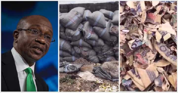 Video of bags of shredded old naira notes thrown away by CBN trends